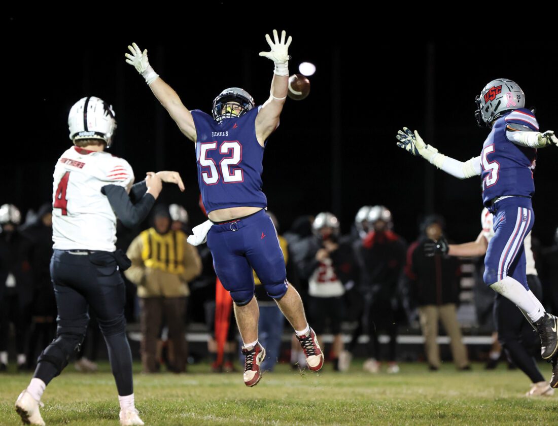 Rebels rally to defeat the Panthers | News, Sports, Jobs - Faribault ...